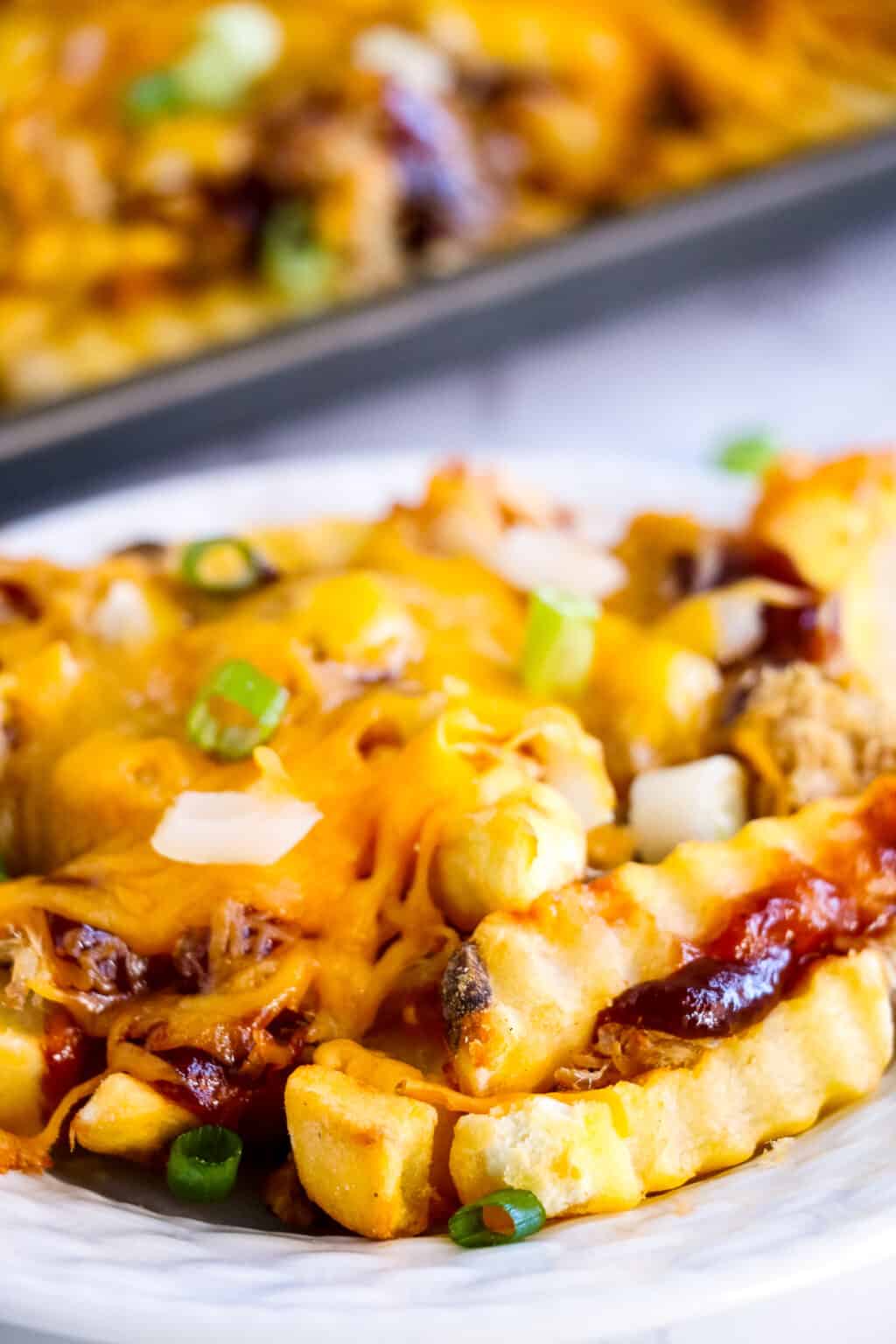 Pulled Pork Fries - Leftover Pulled Pork! - Gimme Some Grilling