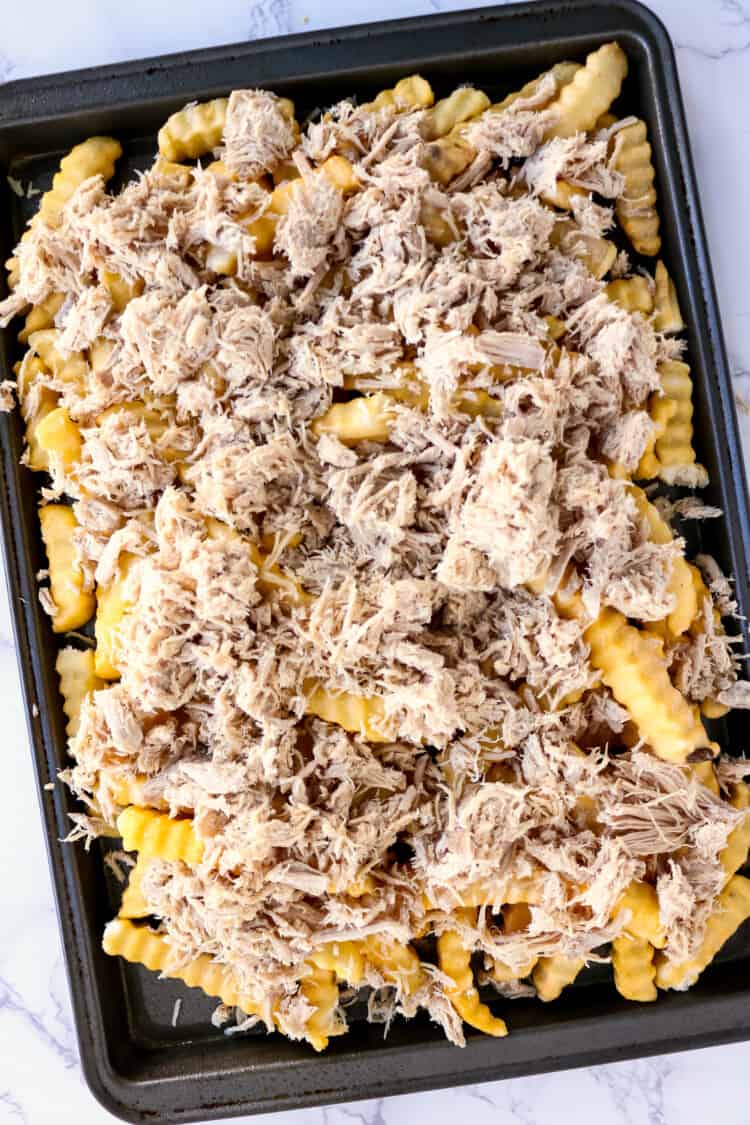 Pulled Pork Fries - Leftover Pulled Pork! - Gimme Some Grilling