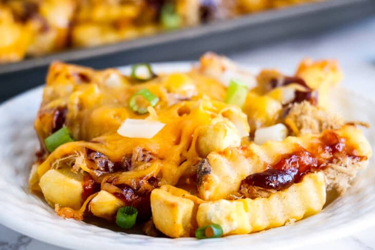 Pulled Pork Fries - Leftover Pulled Pork! - Gimme Some Grilling